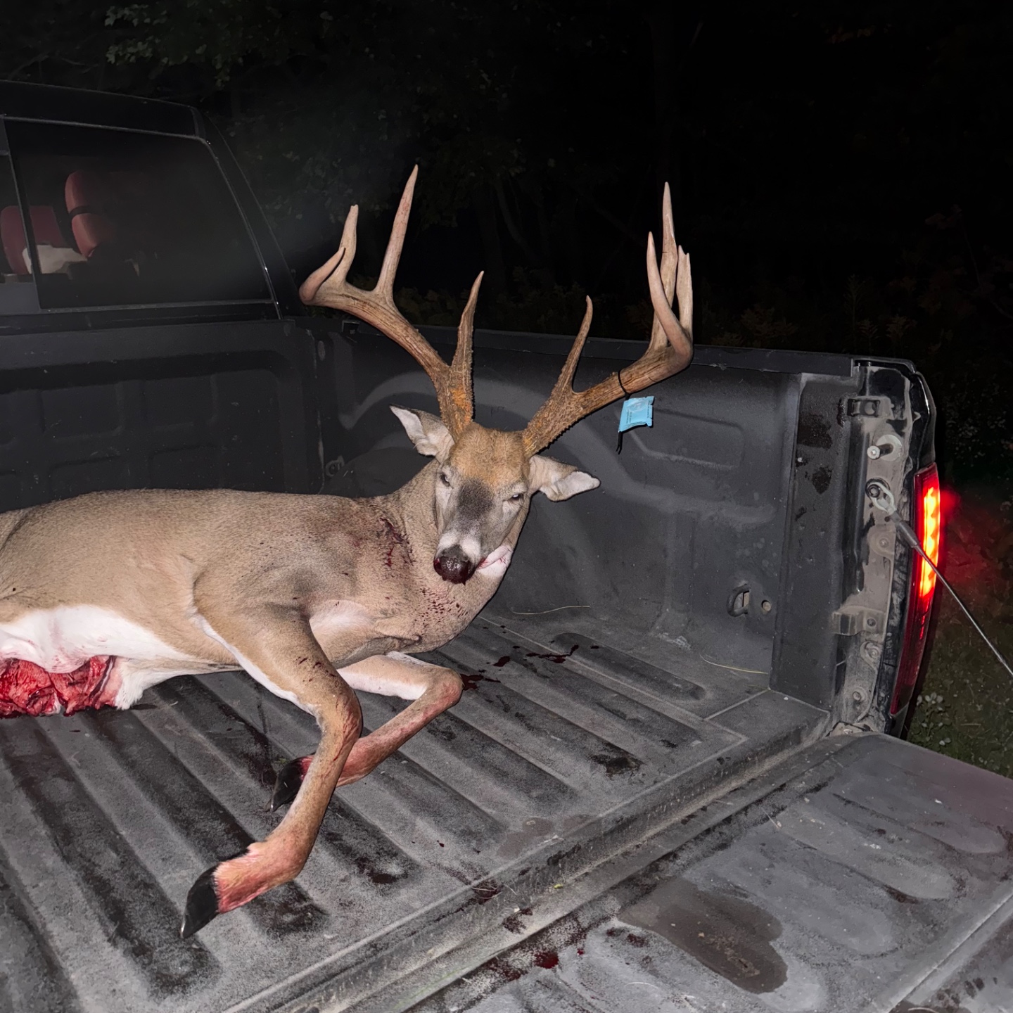 Justin Rood - MI Buck Pole