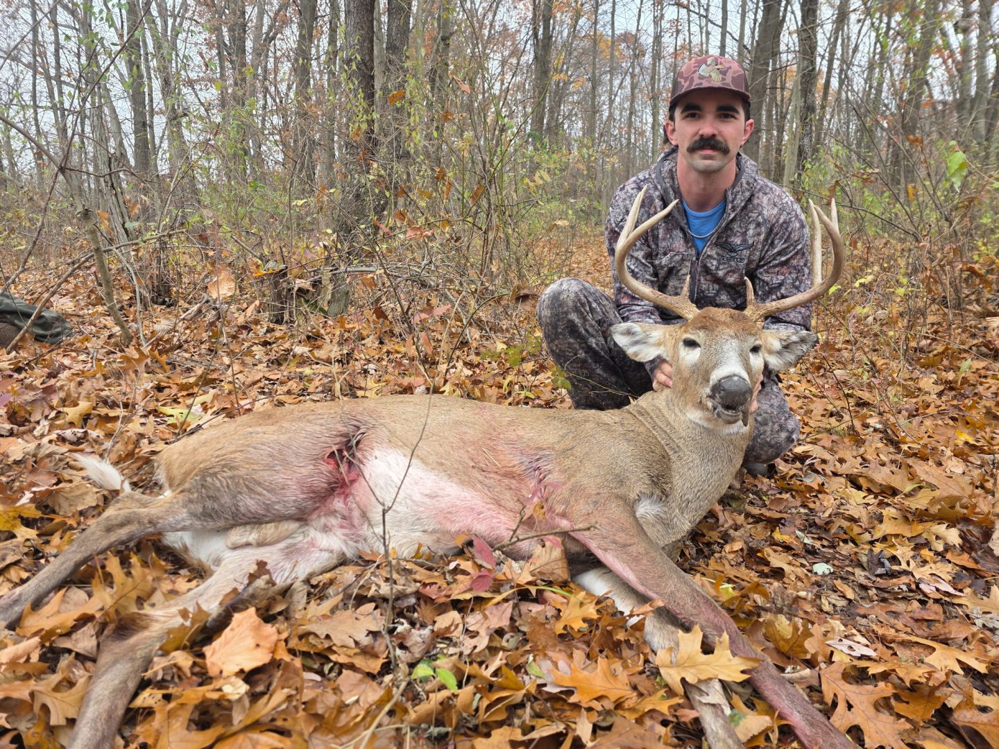 Cody Hawk - MI Buck Pole